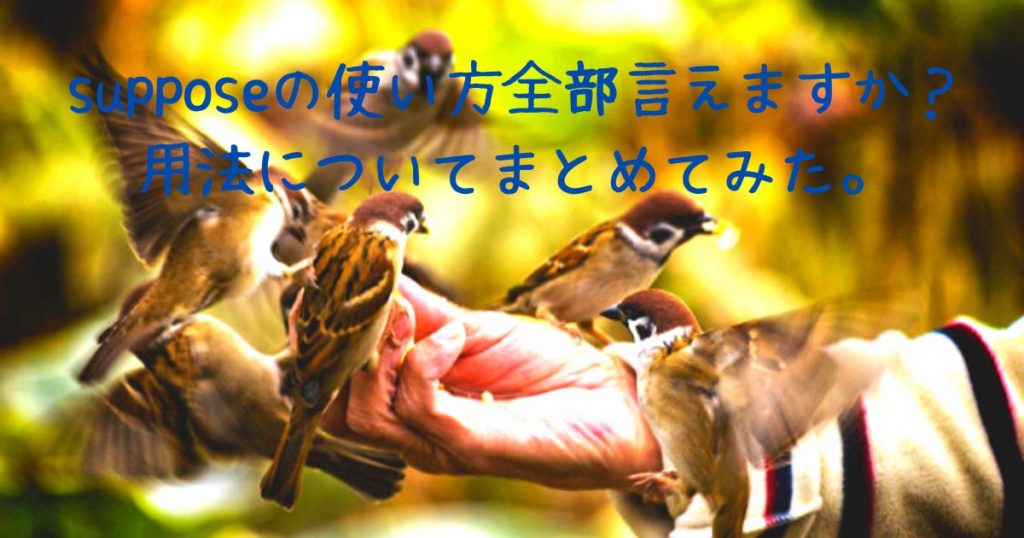 supposeの使い方全部言えますか？用法についてまとめてみた。 | 英語を仕事で使えるレベルに伸ばす！認定英語コーチアキトの0→1英語塾